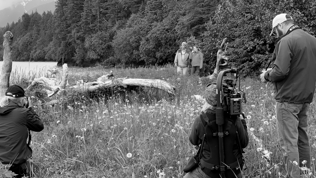 Capabilities - MSI Communications