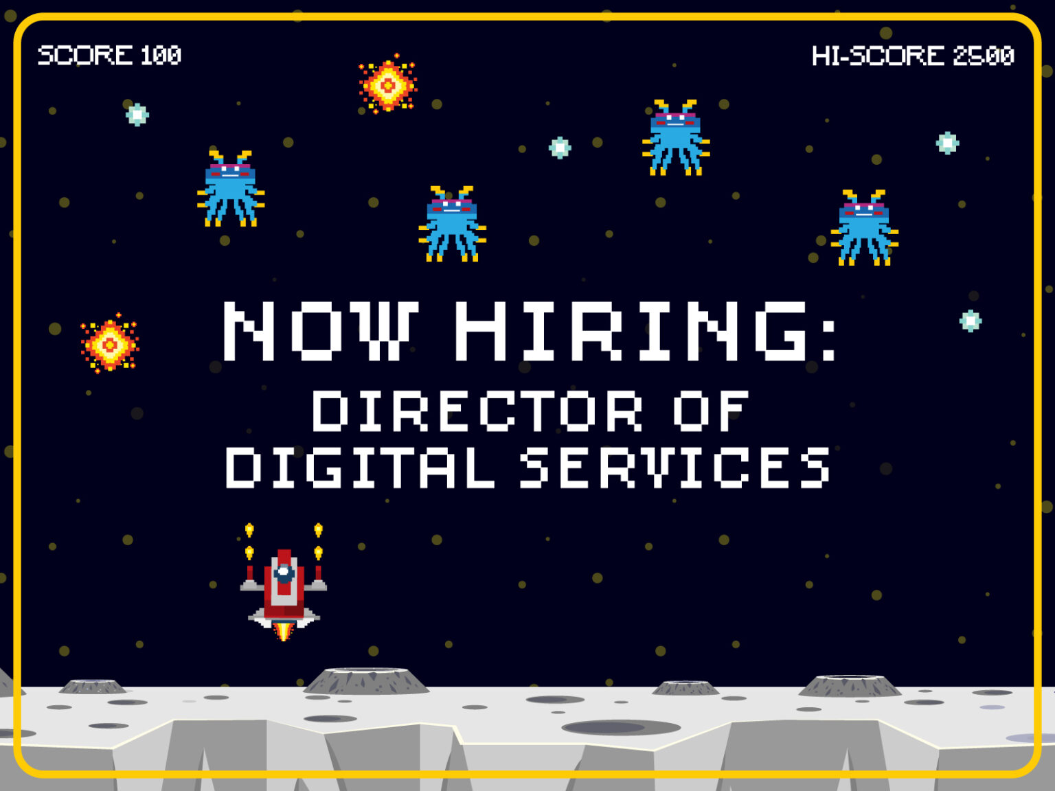 Future Director of Digital Services – MSI Communications