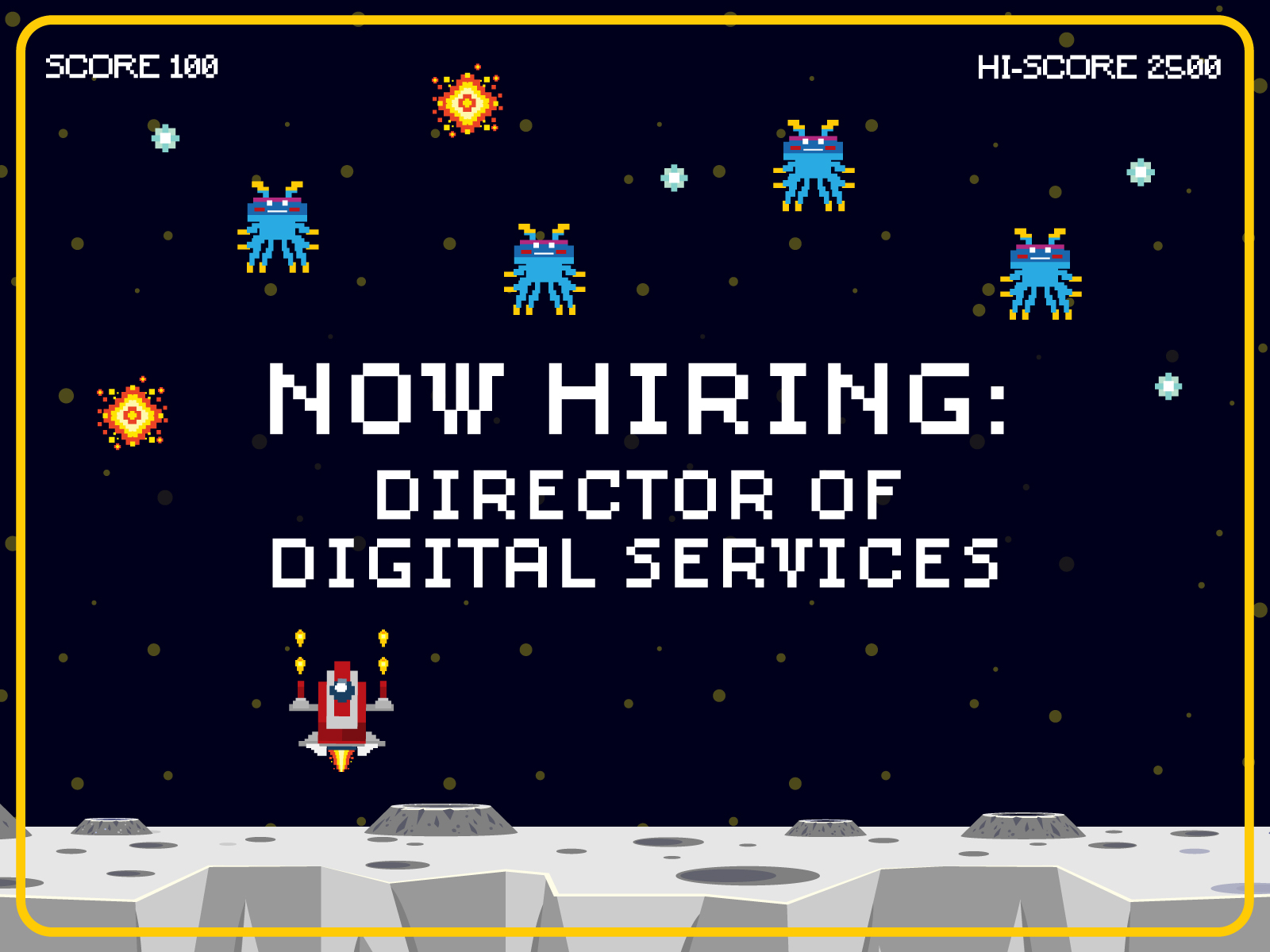 Future Director of Digital Services – MSI Communications